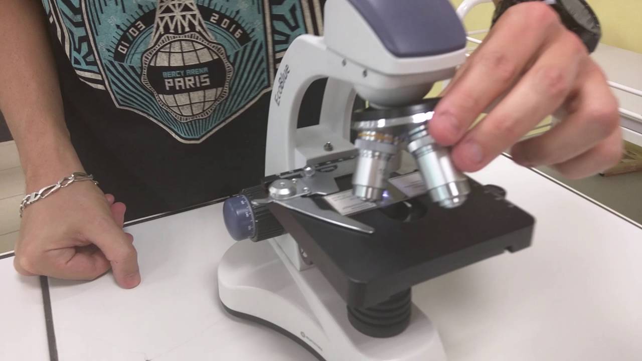 Utilisation d'un microscope optique en salle 009 (M. Lesieur) - YouTube