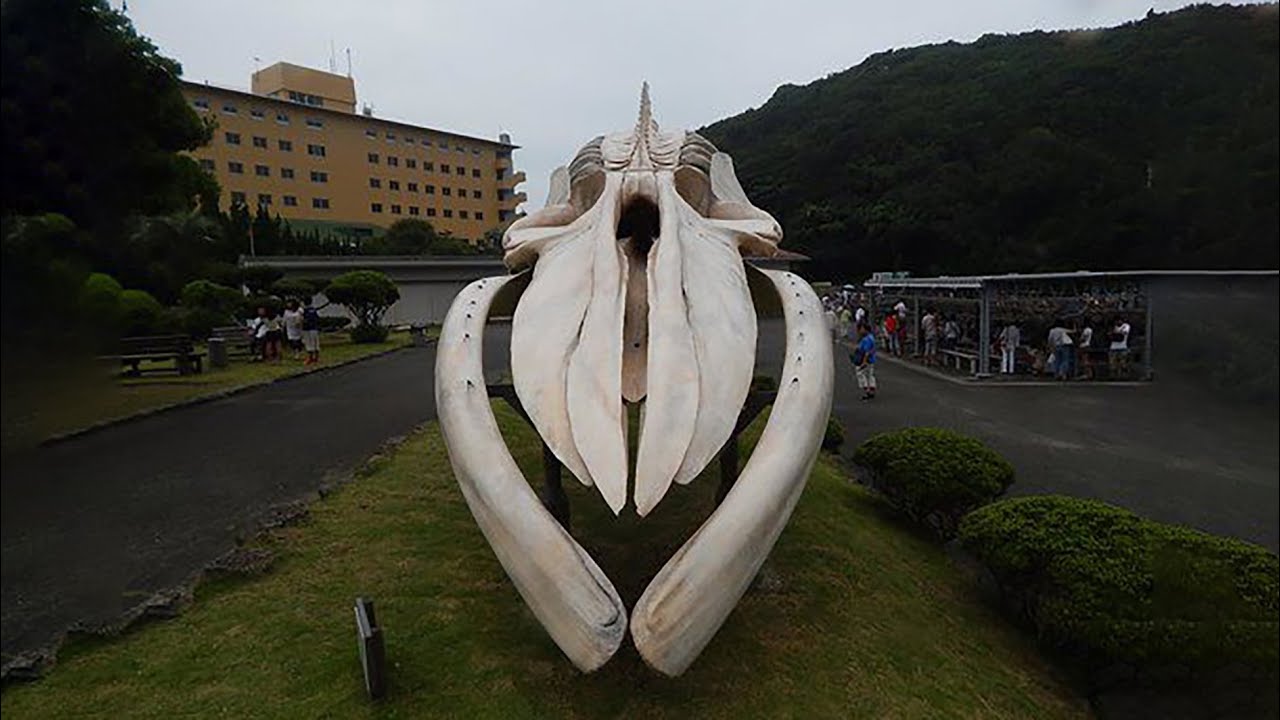 12 Most Incredible Archaeological Finds That Really Exist - YouTube