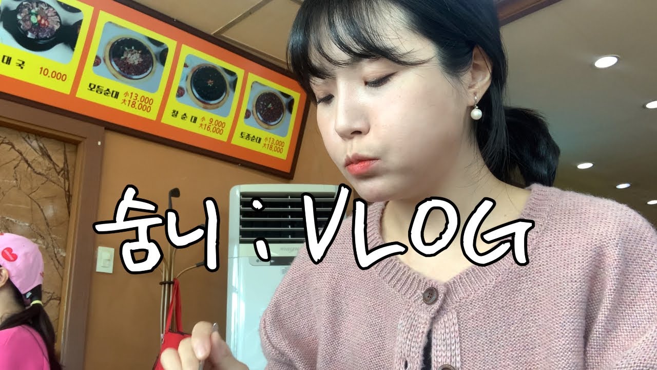 숨니vlog 당일치기 전남 광주 And 시흥 용설리 순댓국 먹방 브이로그 기차여행 맛집 시골 강아지 운전 드라이브 일상로그 순대국 Asmr