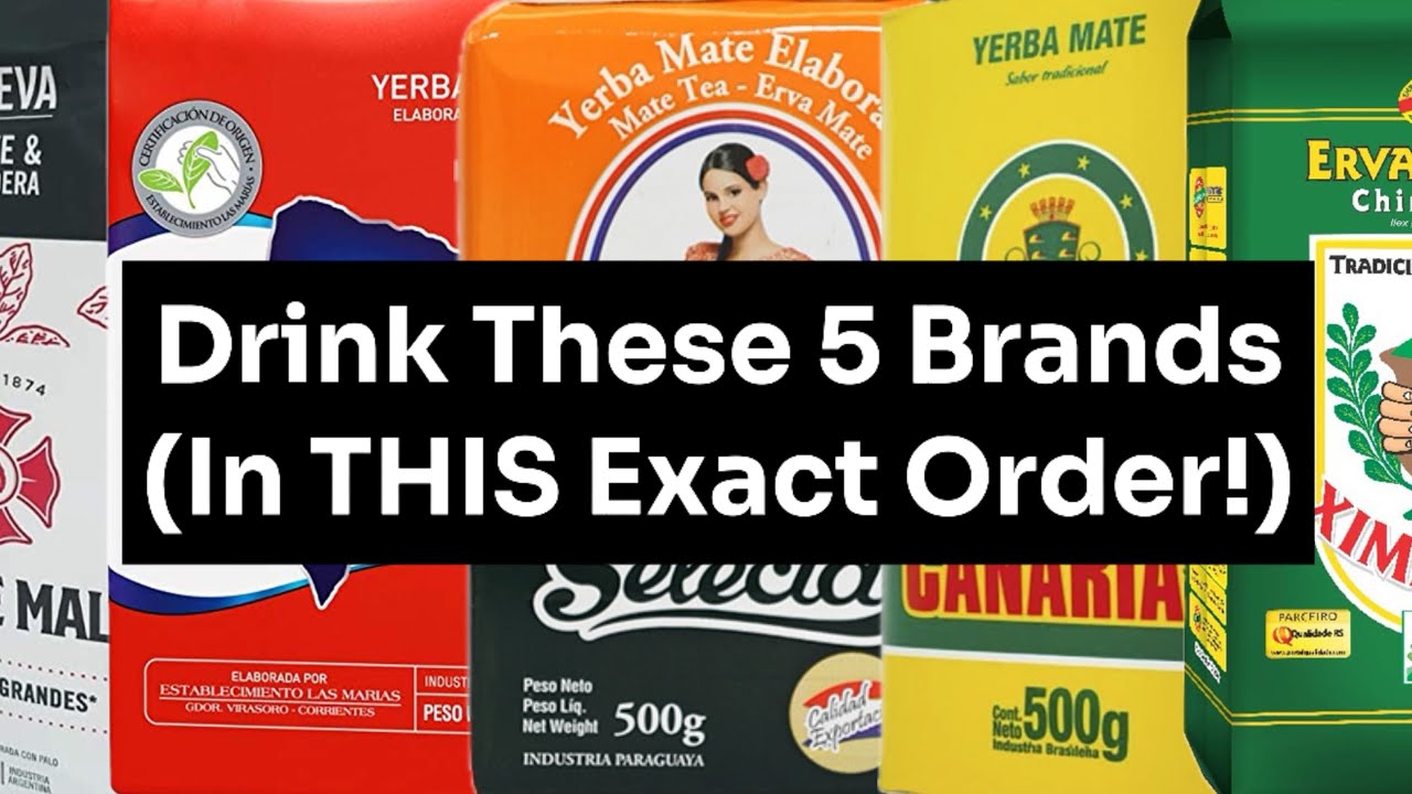 What Yerba Mate Brands To Start With🧉 - YouTube