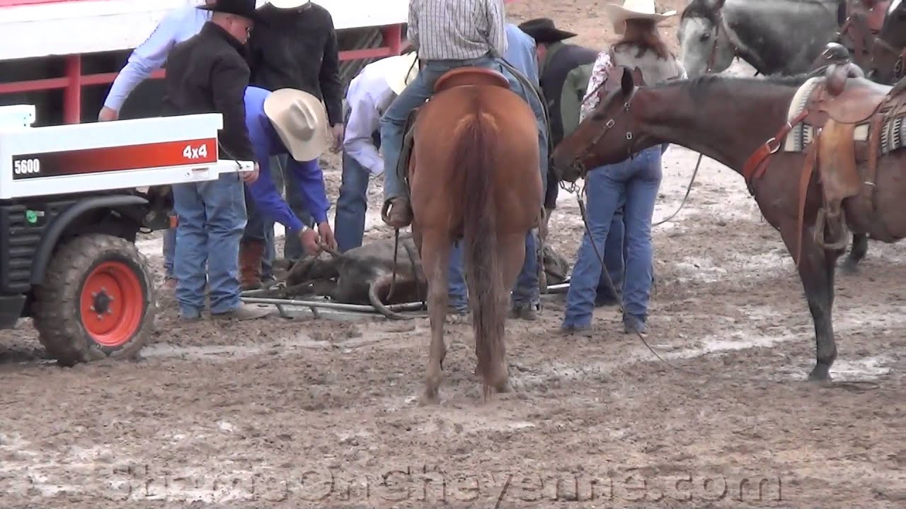 Steer Killed at the Cheyenne Frontier Days Rodeo 7/19/13 - YouTube