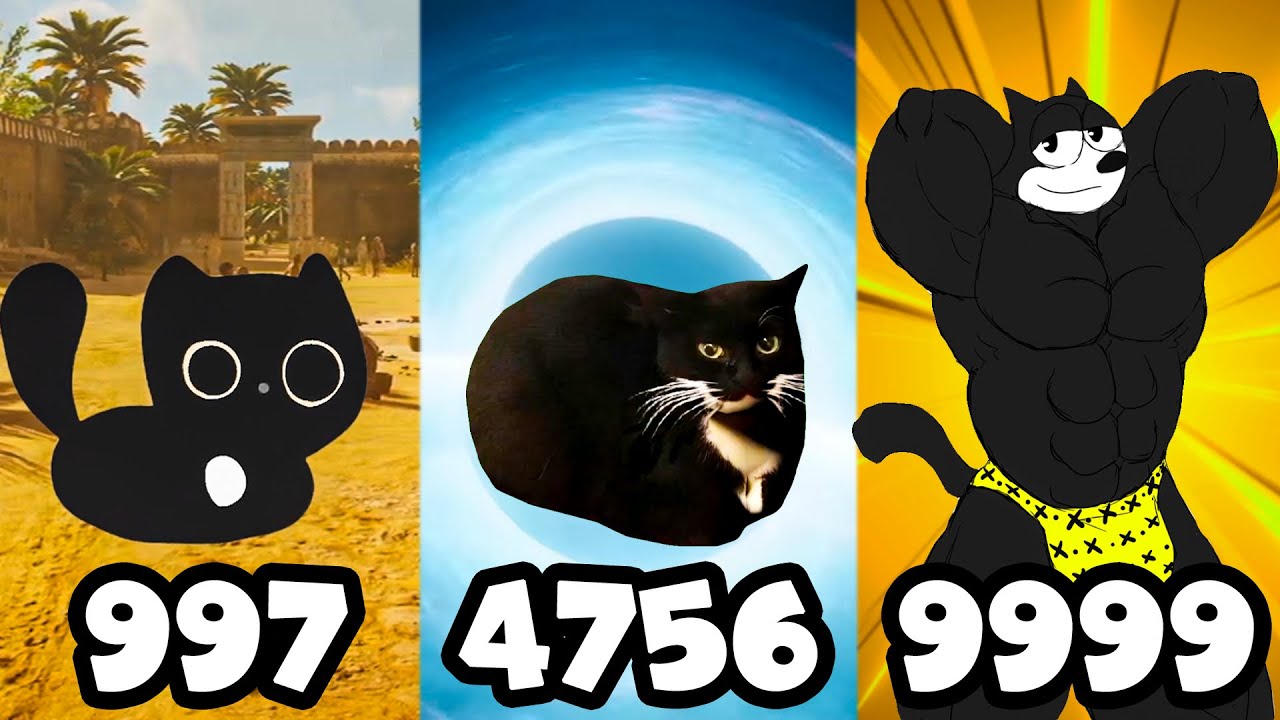 Maxwell the Cat Dance in Different years - YouTube