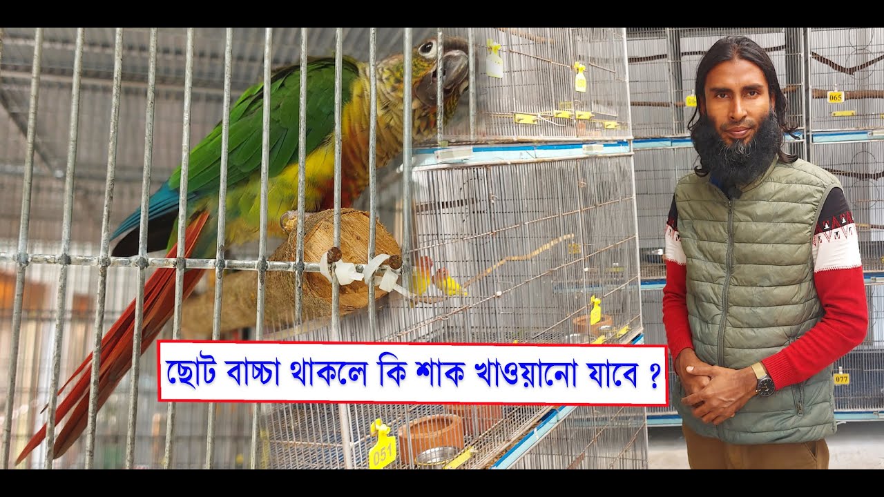 সব পাখিদের বাগানের তাজা পালং শাক খেতে দিলাম || 01988883105 || Parrot ...