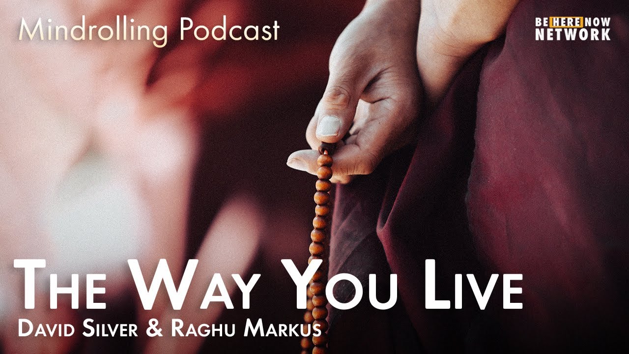 The Way You Live with David Silver & Raghu Markus – Mindrolling Ep. 464 ...