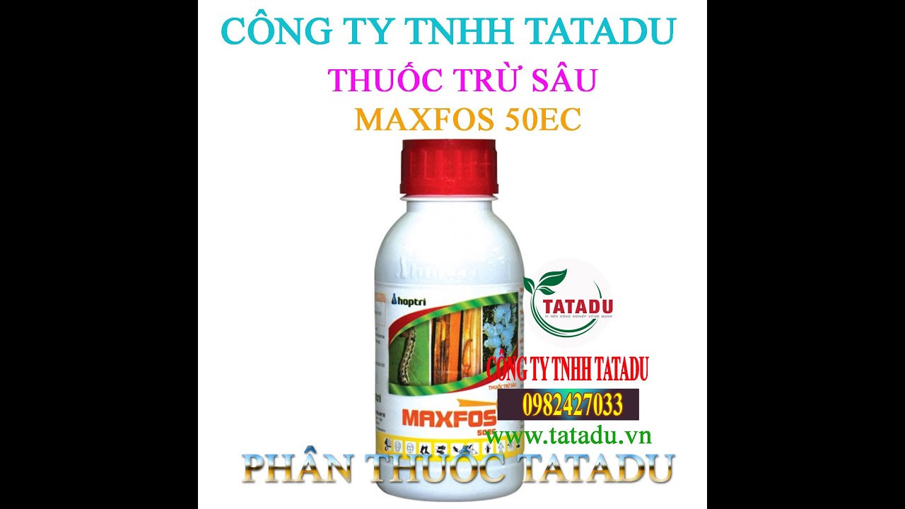 MAXFOS 50EC – THUỐC TRỪ SÂU KHOANG, RẦY NÂU...0776.755.793 ...