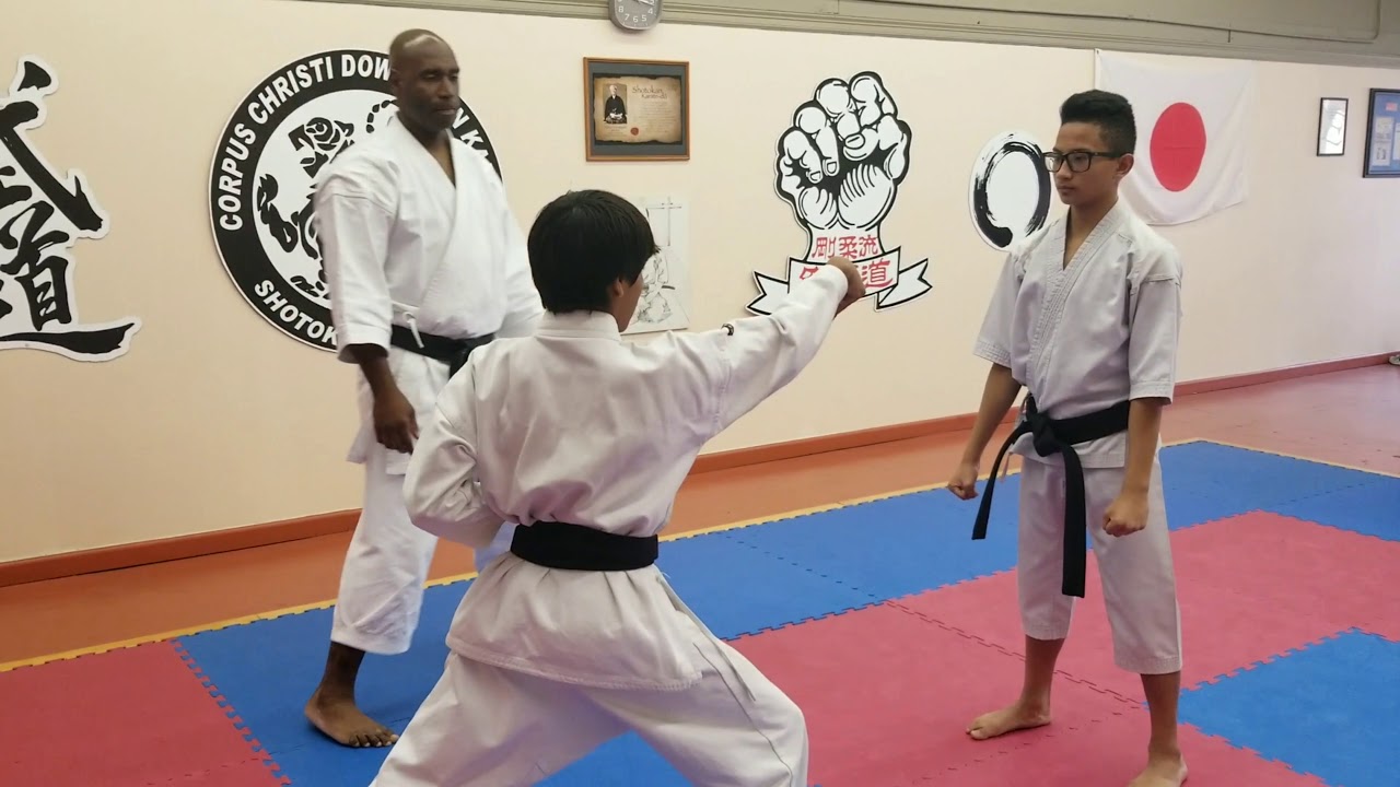 Shotokan Karate-Do Kata Sensho Asai Ryu Basic Application Corpus ...