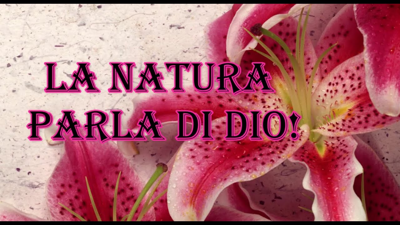 LA NATURA PARLA DI DIO! - YouTube