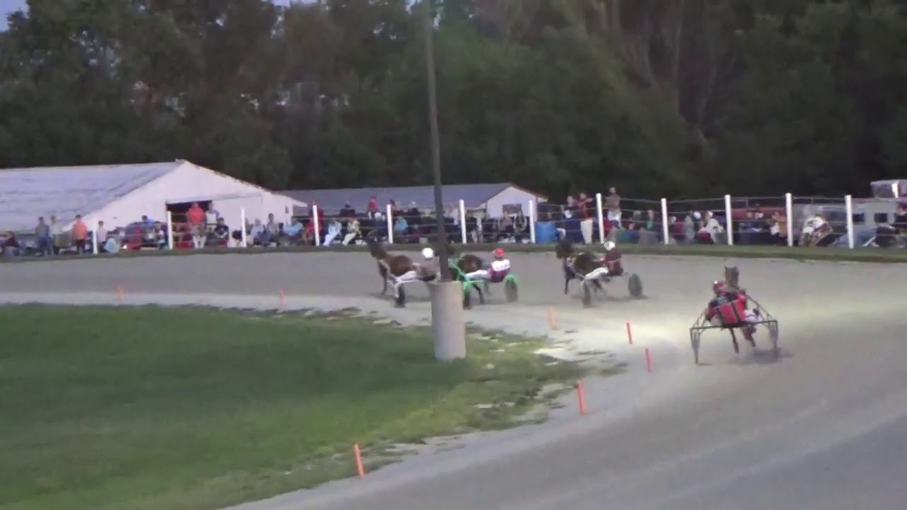 Nappanee Raceway 9-4-20 Midwestern Classic 3yo Filly Trot 1st heat ...