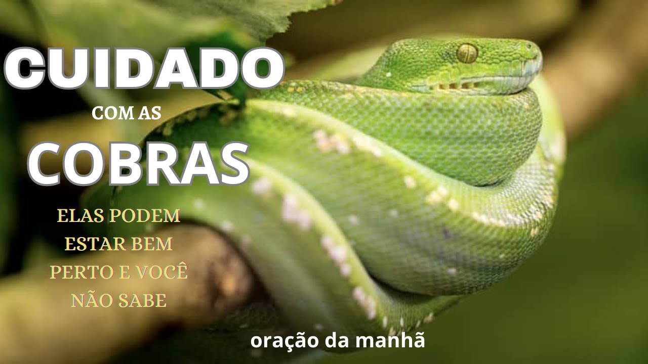 ORAÇÃO DA MANHÃ = CLAMANDO A DEUS PELA SUA VIDA#clamor #adoração - YouTube