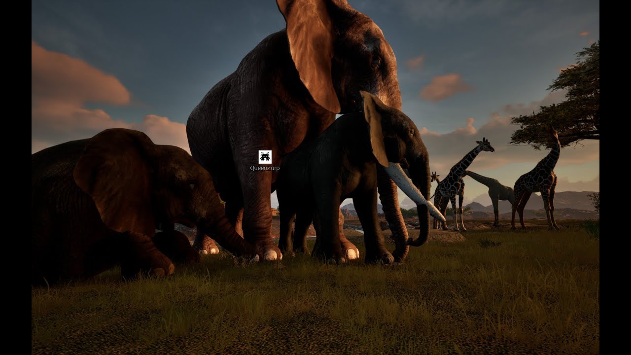 Animalia Survival : Oh What Fun it is!! - YouTube