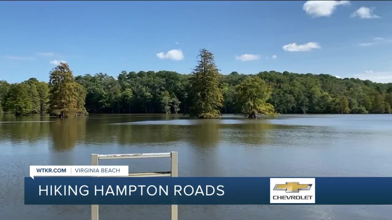 Hiking Hampton Roads: Stumpy Lake Natural Area - YouTube