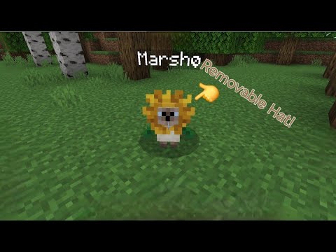 How to remove the hats from pets in the Spark pets mod! - YouTube