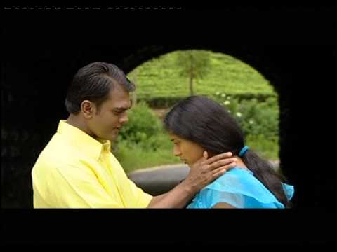 Suramya Wu Sina - Dr. Rohana Weerasinghe & Shanika Sumanasekara, \