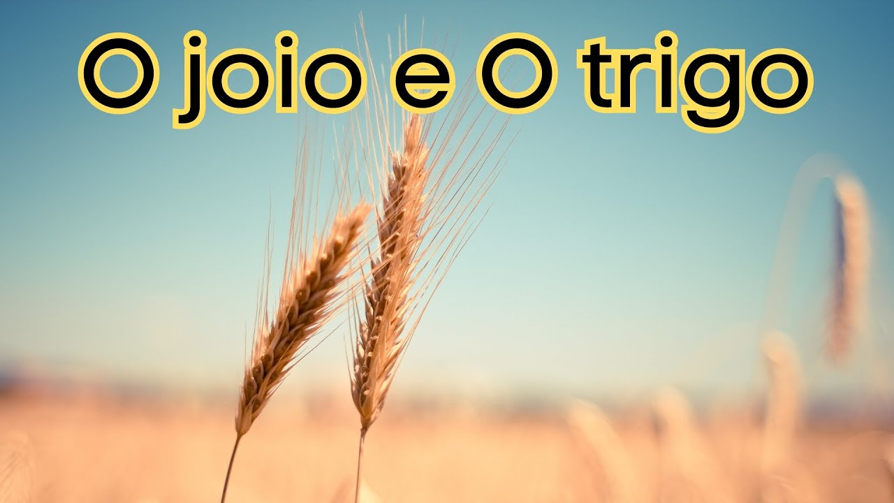 O joio e o trigo - YouTube