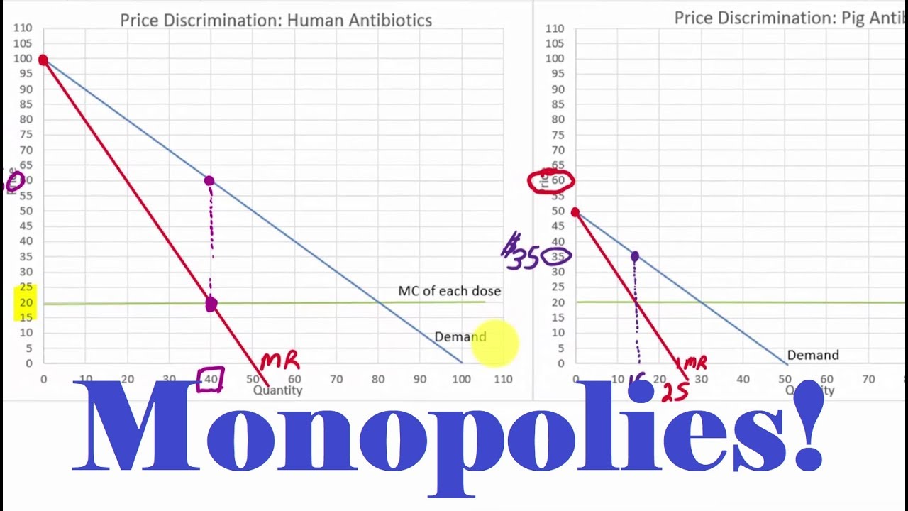 Details about Monopolies (Full Lecture) - YouTube