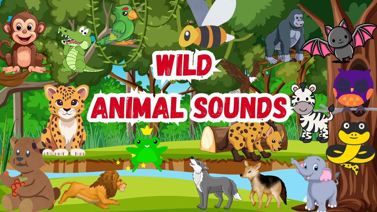 Jungle Jams: Sing Along to Wild Animal Sounds!" | learn Animal Noises ...