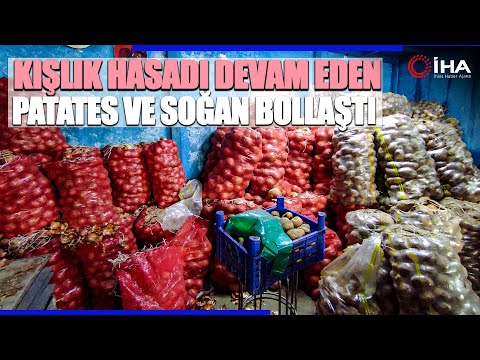 İstanbul'daki Hallerde Patates Ve Soğan Bolluğu