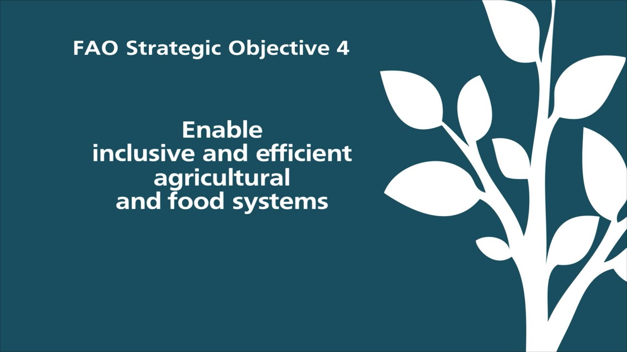 FAO Strategic Objective 4 - YouTube