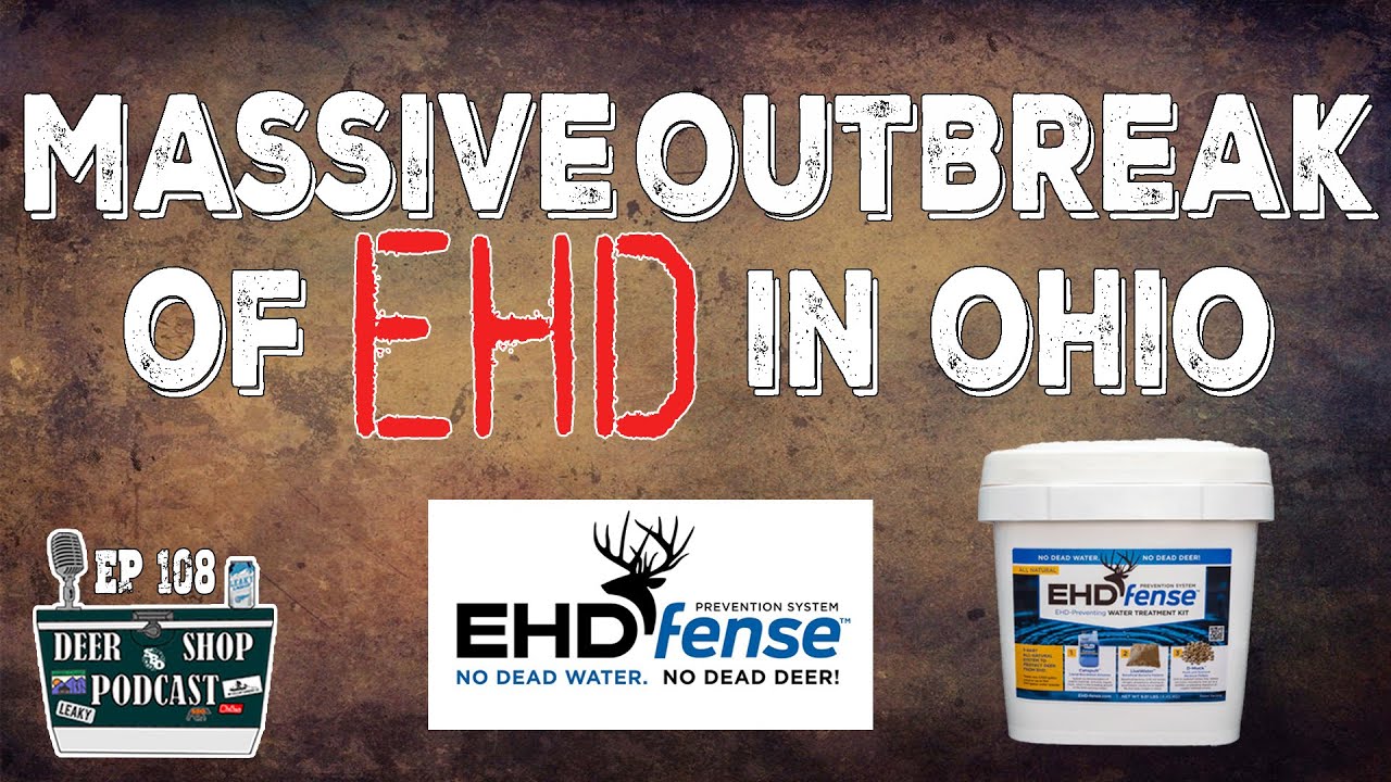 Massive Outbreak Of EHD In Ohio | What You Can Do About It | The Deer ...