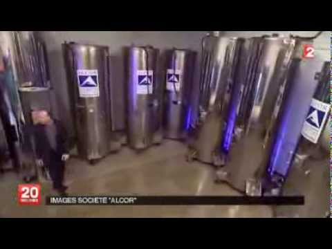 My TPE: La cryogénie : Le commerce de demain