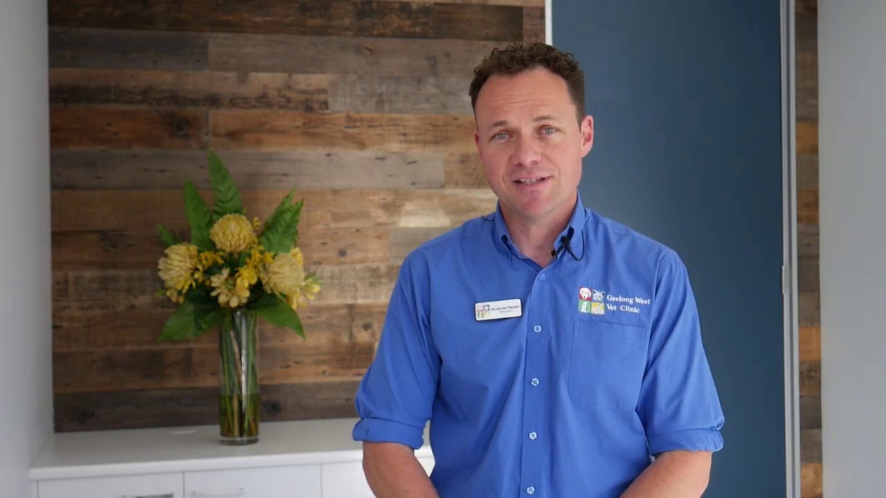 Dr James letting you Geelong West Vet Clinic is now OPEN for business ...
