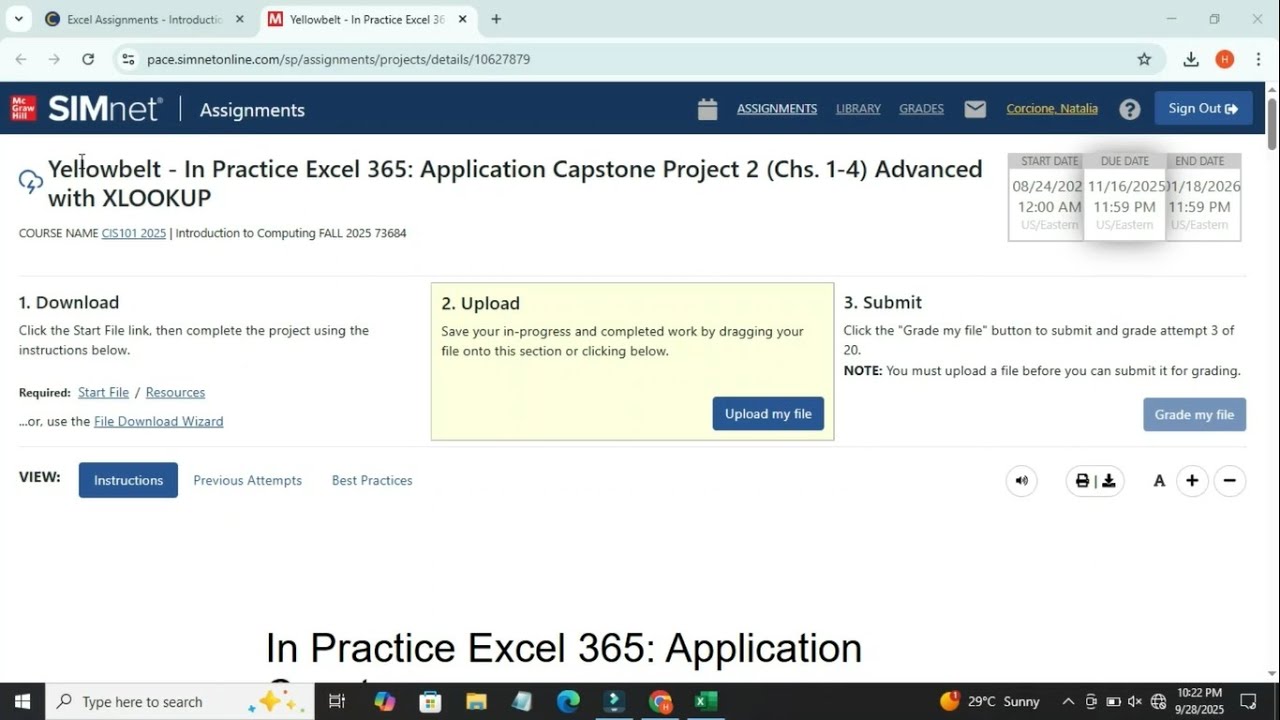 In Practice Excel 365: Application Capstone Project (Chs.1-4 ) Advanced ...