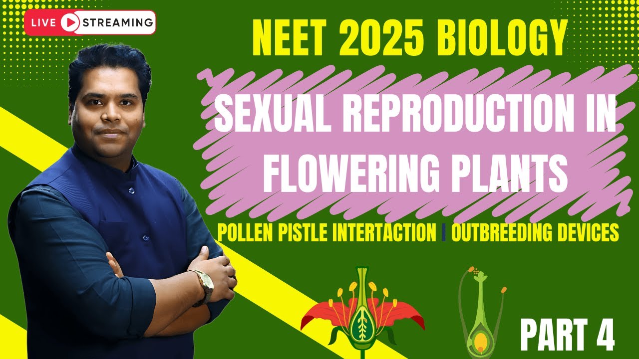 NEET 2025 Biology:sexual reproduction in flowering plants| outbreeding ...
