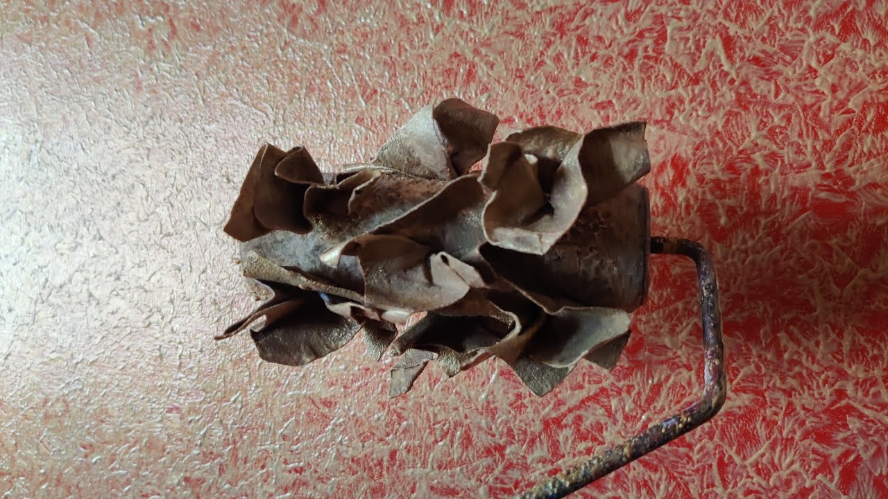 Asian paints ragging texture design in Gold | Royale play design | How ...