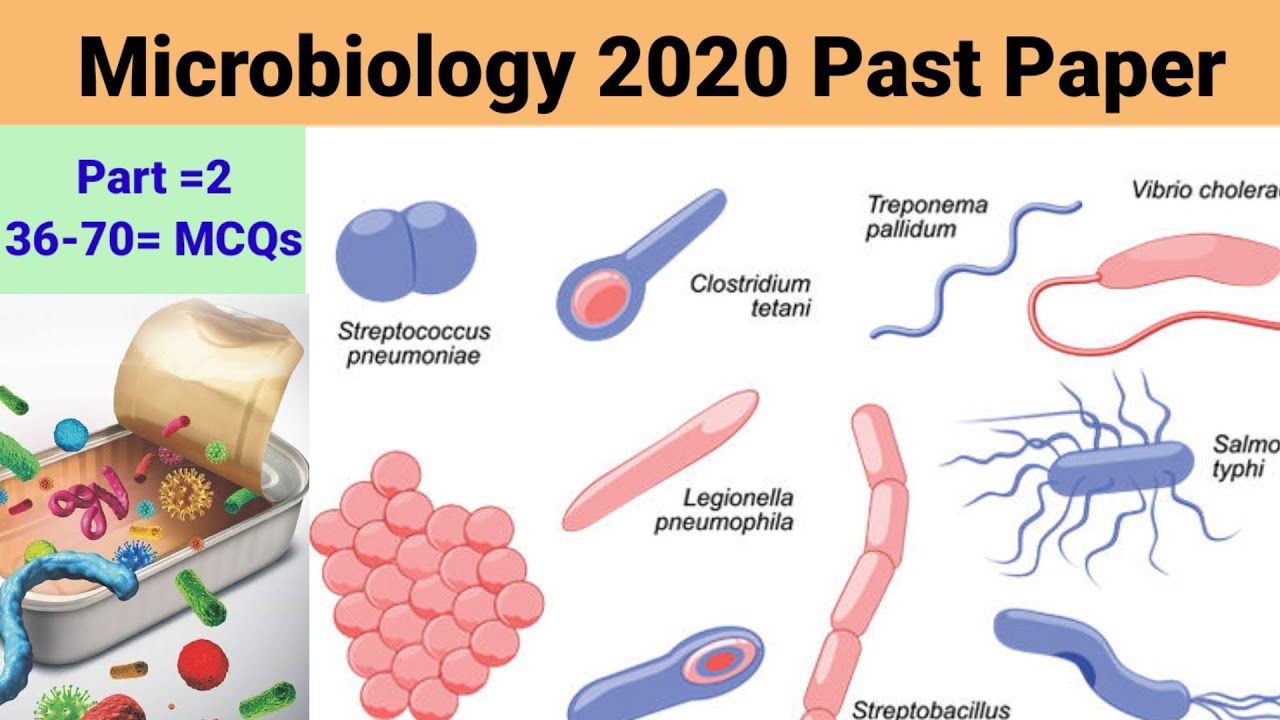 Microbiology 2020 Past Paper/ Part=2/ BSN first semester .. # ...