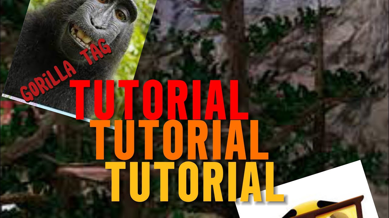 Gorilla Tag Tutorial - Gorilla Tag For Noobs - YouTube