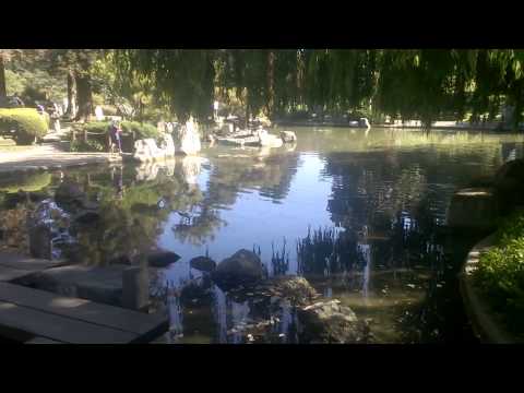 Japanese Friendship Garden Feat. Stepsister