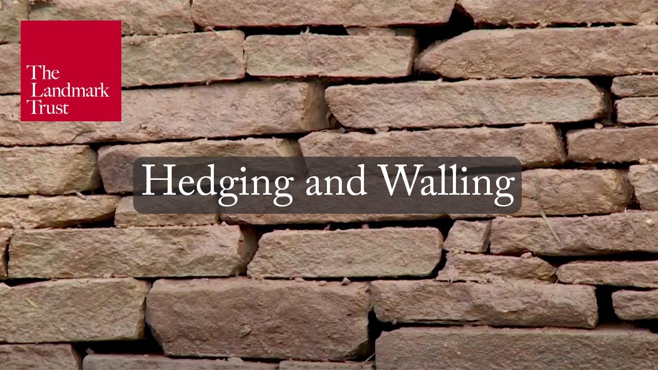 Hedging and Walling at Llwyn Celyn - Welsh subtitles - YouTube