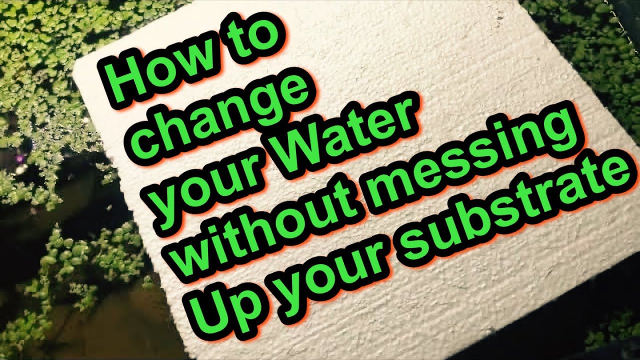 How to do a water change without messing up your substrate - YouTube