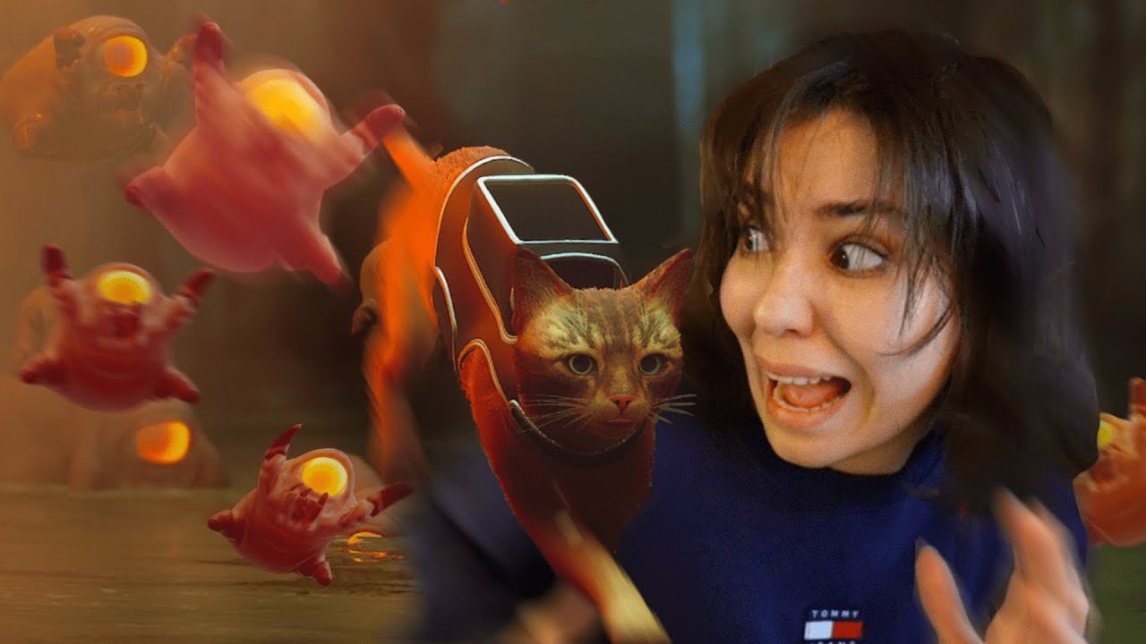 RUNNING FROM THE ZURKS (stray) - YouTube