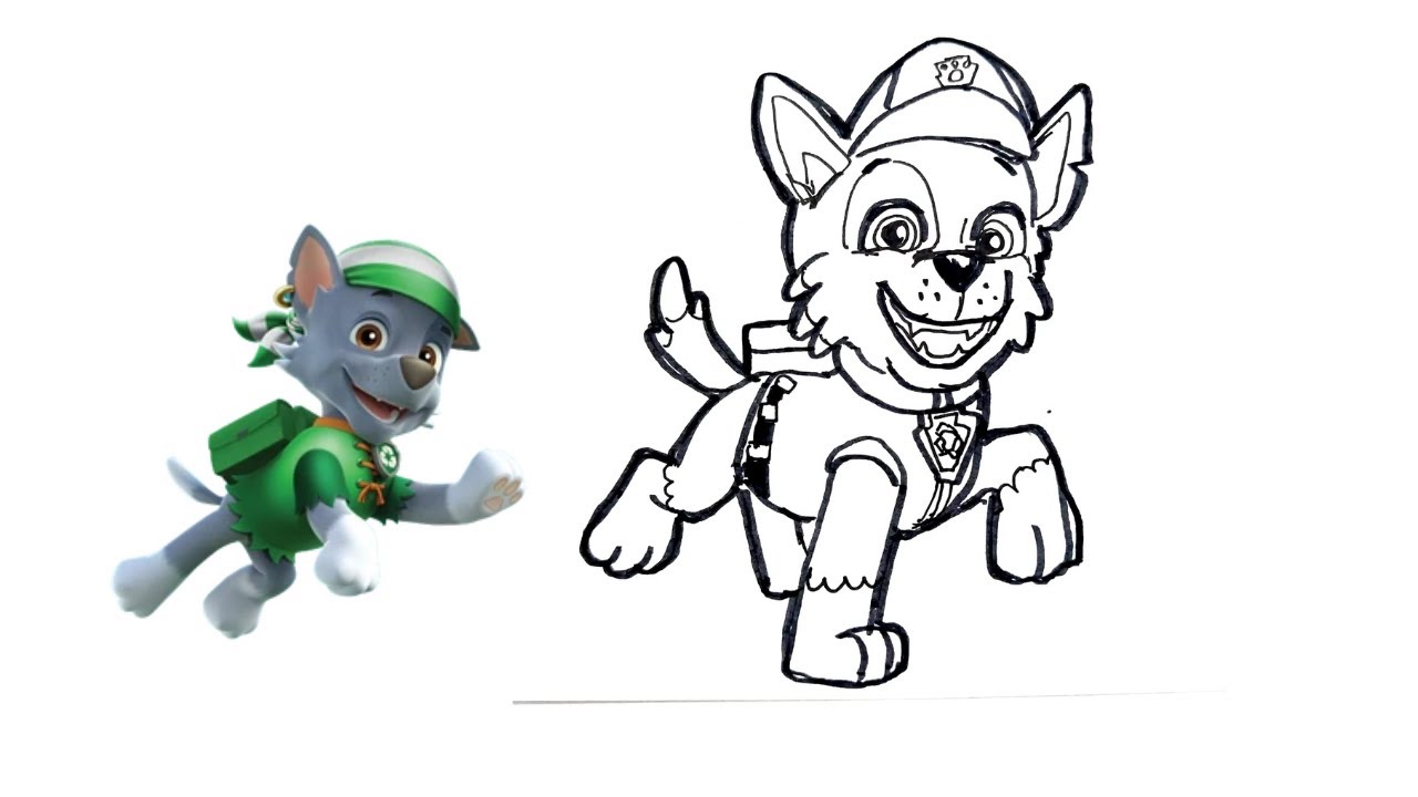 Paw Patrol From Beginner to Pro: Step-by-Step Guide to Drawing Rocky ...