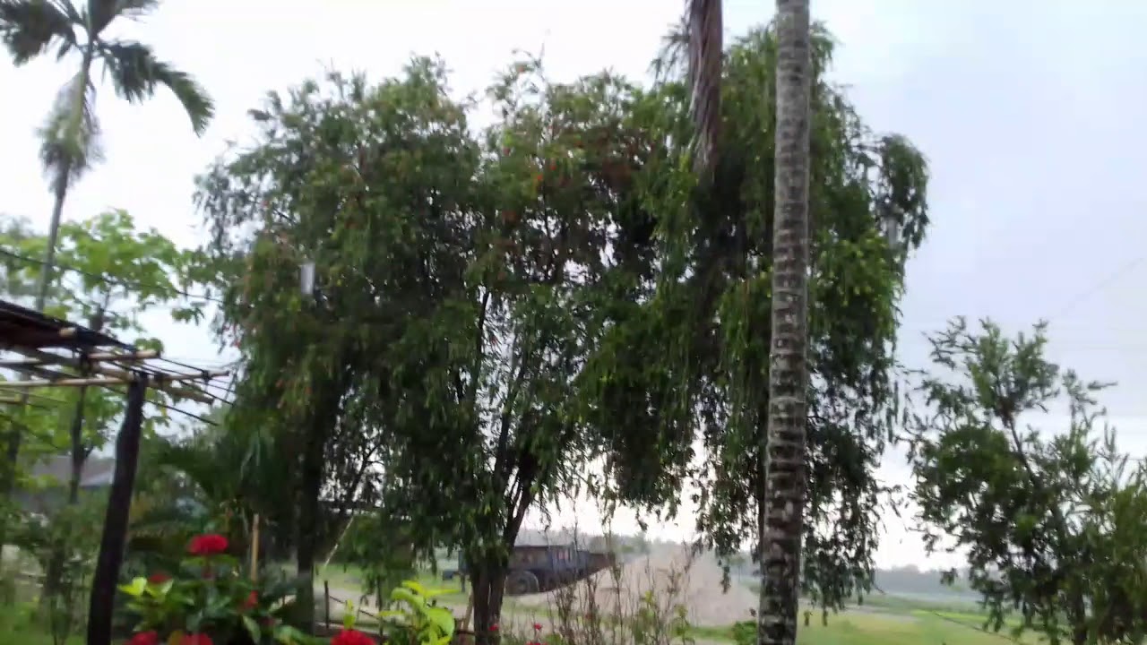 Fantastic Weather! Surunga/Jhapa/Nepal - YouTube