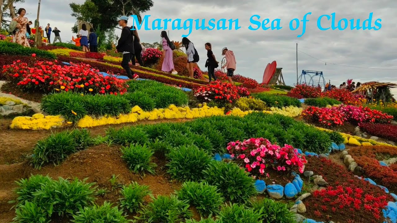 Summer Capital sa Davao Region | Mga Pasyalan #touristattraction # ...