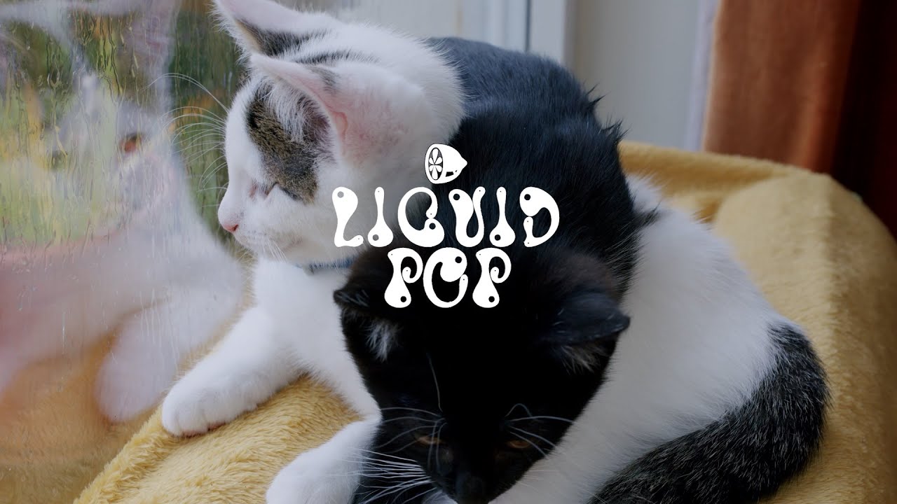 [PLAYLIST] 연애세포 깨우는 말랑한 팝음악 LIQUID POP [무료 음악/브금/ROYALTY FREE MUSIC/NCS ...