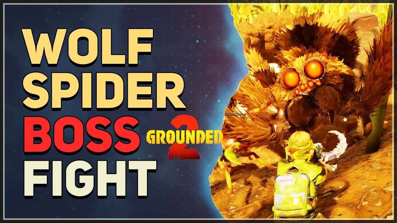 Wolf Spider Boss Fight Grounded 2 - YouTube