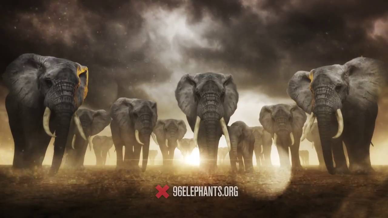 96 Elephants: Take A Stand PSA featuring Billy Joel - YouTube