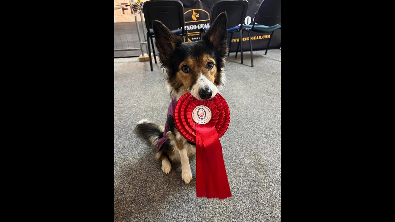 Reisy - F3 - YouTube