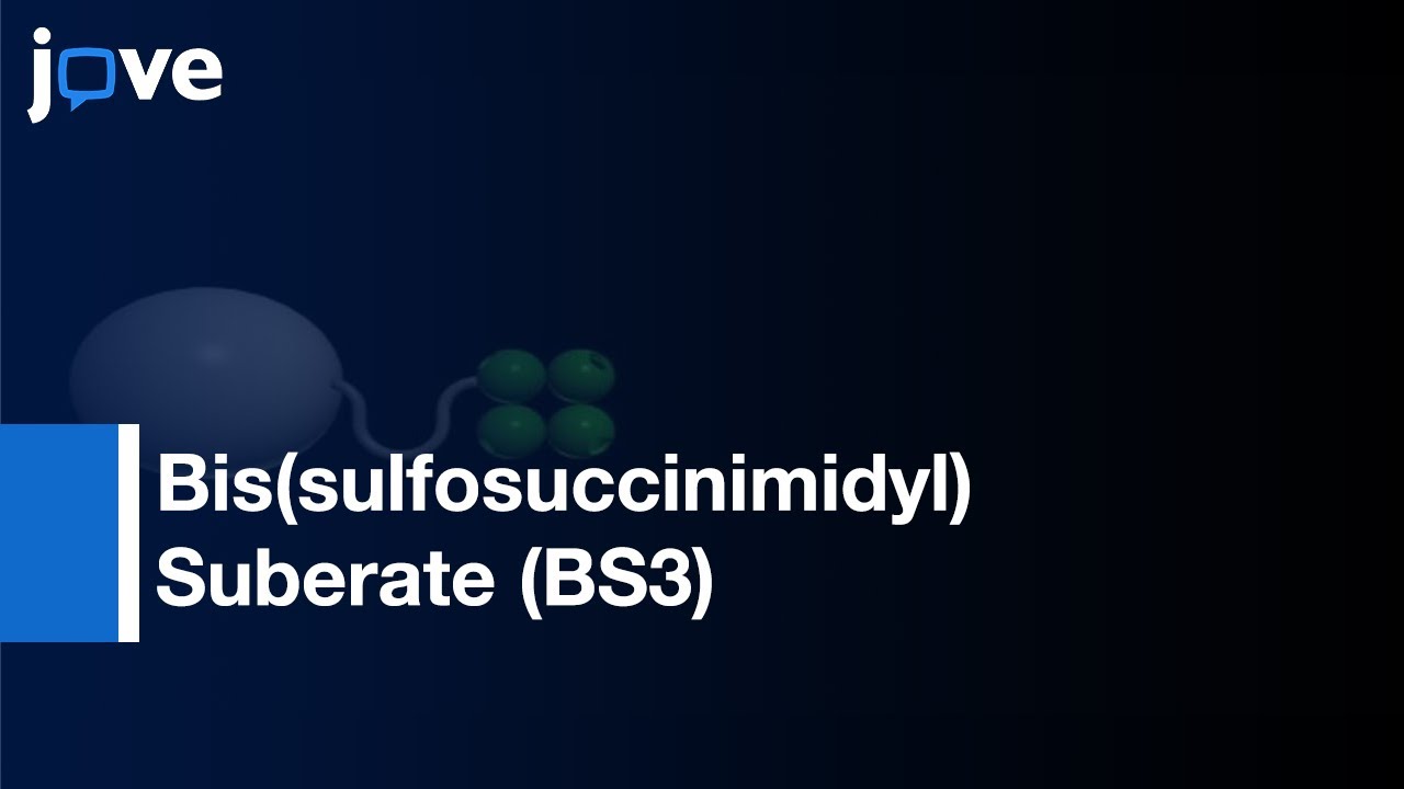 Purification: Twin-Strep-Tagged Proteins & Their Complexes On Strep ...