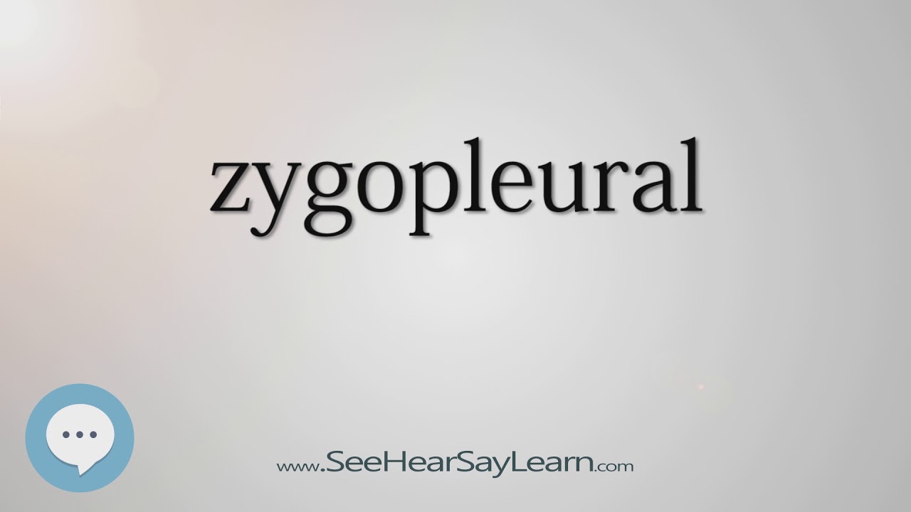 zygopleural (Every English Word Pronounced) 📕🔊🗣️😎 - YouTube