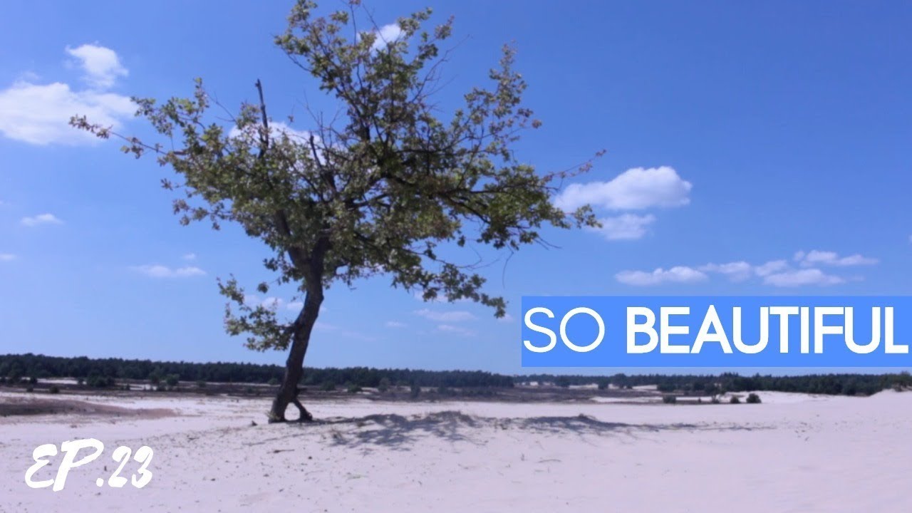 EXPLORING THE DUTCH DUNE DESERT | Netherlands 2018 - YouTube