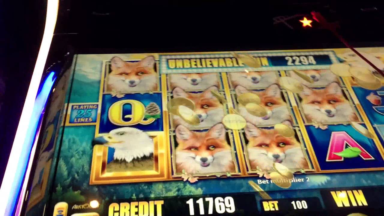Birds of Prey Slot Machine Line Hit ** Big WIN** $$$ - YouTube