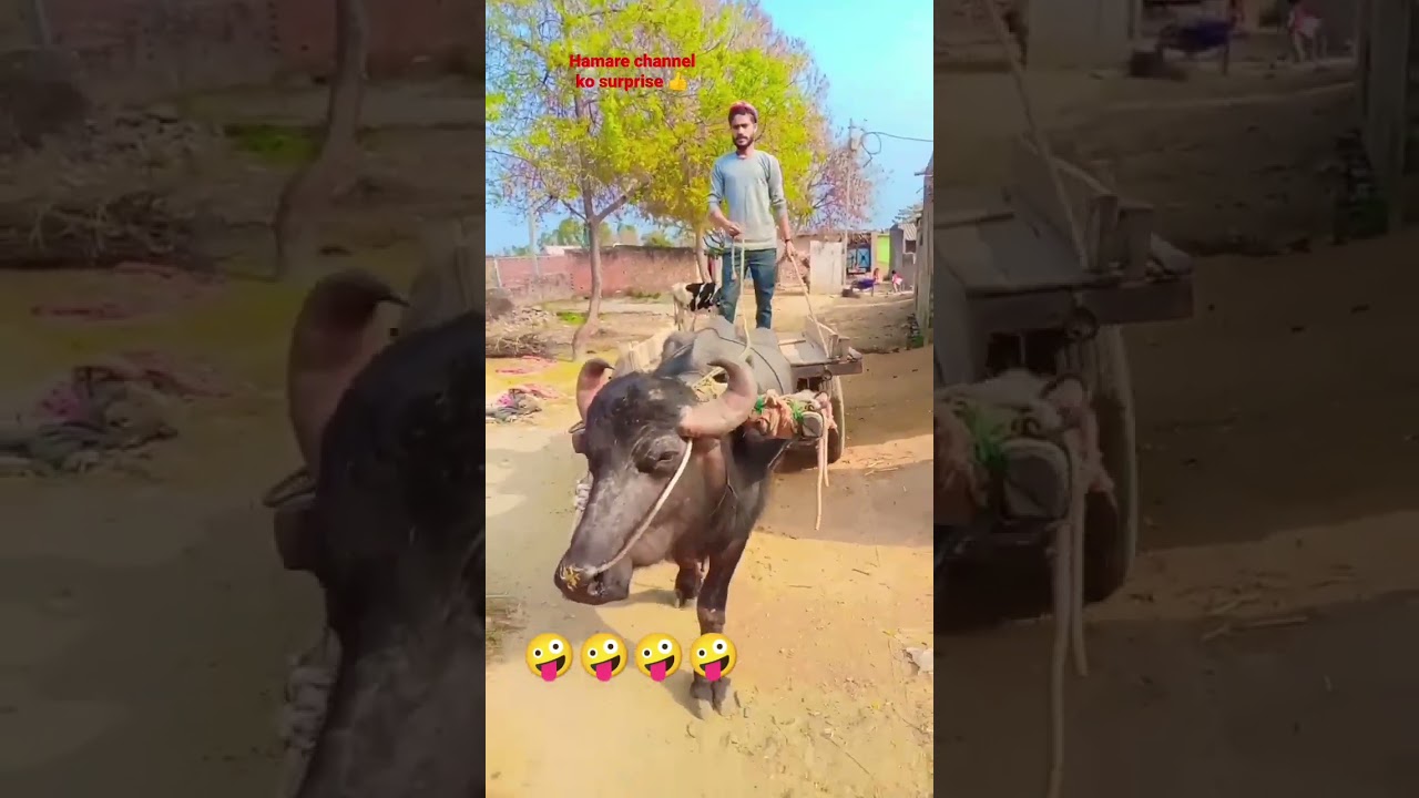 jhota buggi video #2023 - YouTube