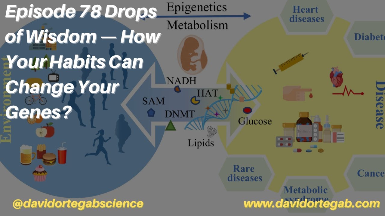 Episode 78 Drops of Wisdom — How Your Habits Can Change Your Genes ...