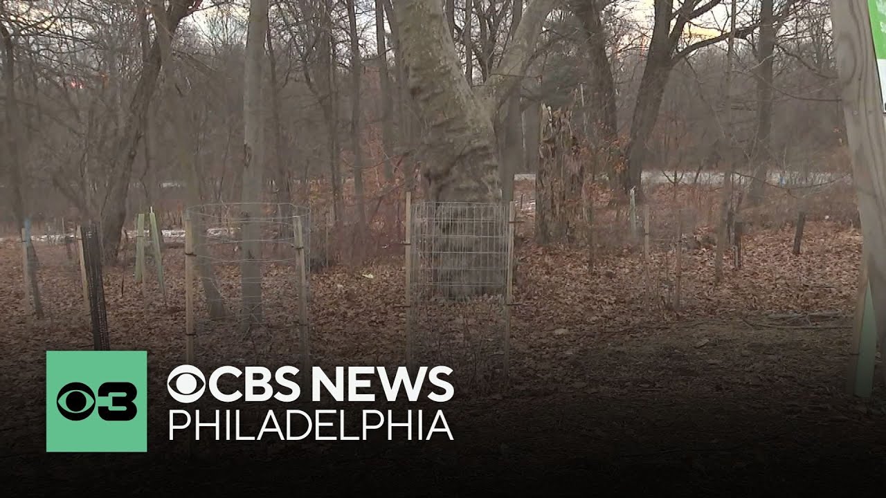 Philadelphia police, animal control officers search for dogs that ...
