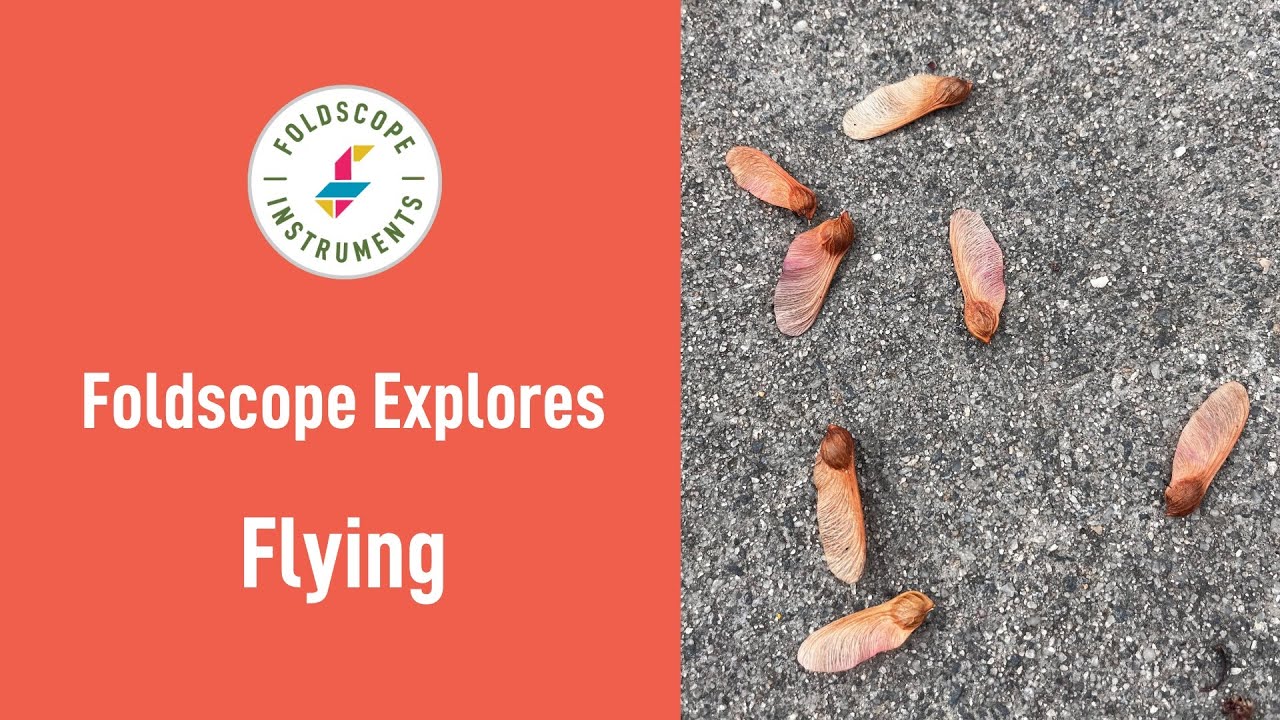 Foldscope Explores: Flying 🪽 - YouTube