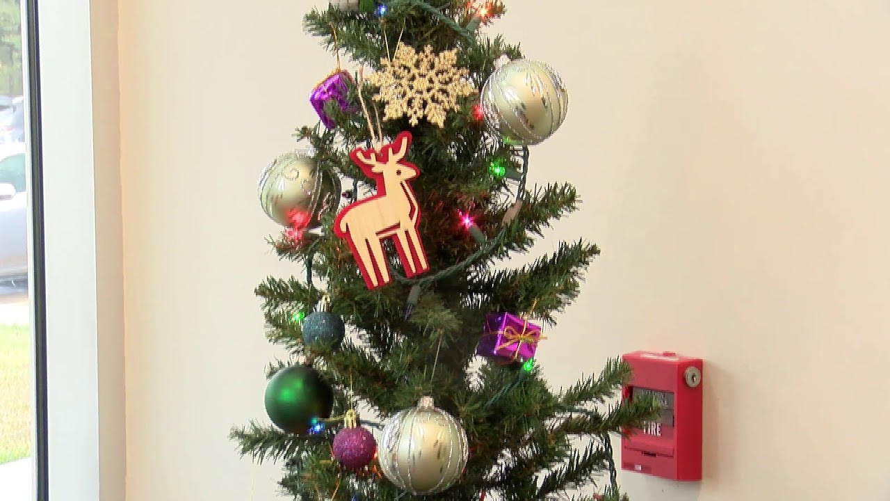 Holiday Tree Safety Tips (Houston Fire Department, Fire Prevention ...